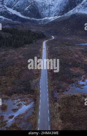 Drone view of narrow roadway running through dense woods with lush tall ...