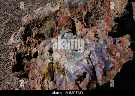Petrified rock, prismatic Stock Photo - Alamy