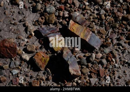 Petrified rock, prismatic Stock Photo - Alamy