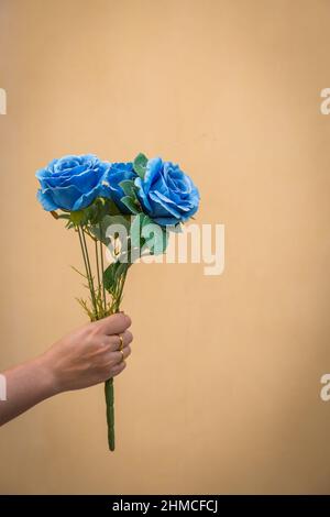 Hand holding blue fabric roses on brown background Stock Photo - Alamy