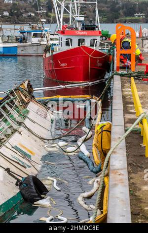 Castletownbere, West Cork, Ireland. 9th May, 2019. On a stunning day in ...