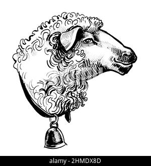 Sheep head, Ink black and white drawing Stock Photo - Alamy