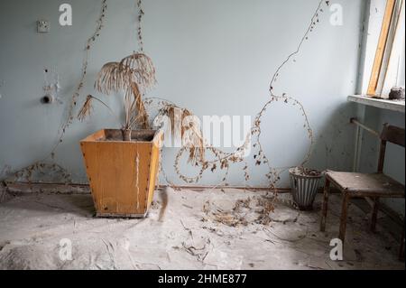 A decaying waiting room in the hospital in Pripyat, Ukraine near the ...
