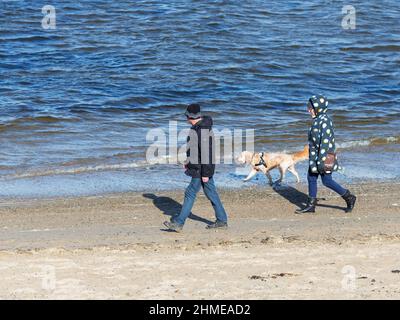 Man walking his dogs on Rhosneigr beach on the Anglesey coast, Anglesey ...