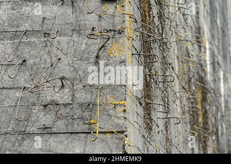 Le blockhaus allemand est une base secrete ou Hitler voulait faire ...
