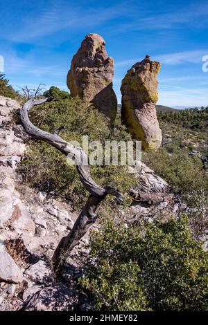Beautiful view of a shrubland with greenery and rock formations Stock ...
