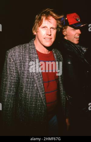 Gary Busey Circa 1980's Credit: Ralph Dominguez/MediaPunch Stock Photo ...