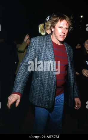 Robin Mattson Circa 1980's Credit: Ralph Dominguez/MediaPunch Stock ...