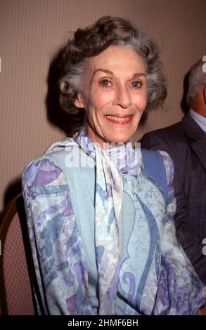 Dick MArtin Circa 1980's Credit: Ralph Dominguez/MediaPunch Stock Photo ...