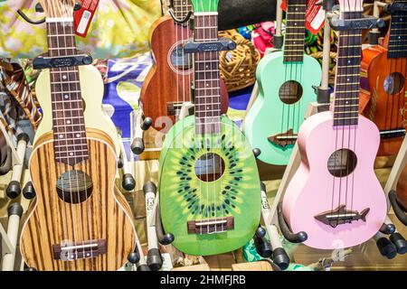 Hawaiian musical instruments Stock Photo - Alamy