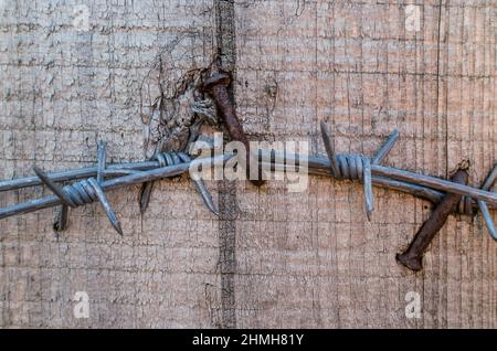 Barbed wire nailed to an old Board with rusty nails Stock Photo - Alamy