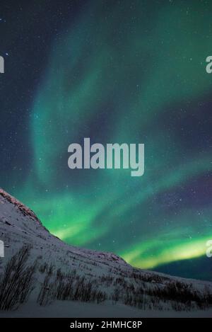 Aurora borealis over snow-capped mountains in kvæfjordjor in the ...