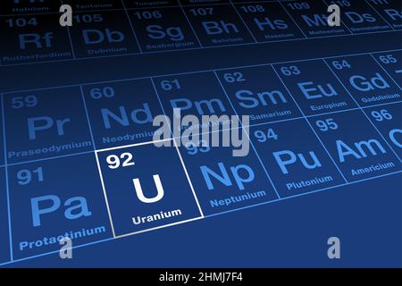 Uranium on periodic table of the elements in the actinide series ...