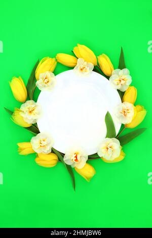 Easter tulip and narcissus flower abstract background border on yellow ...