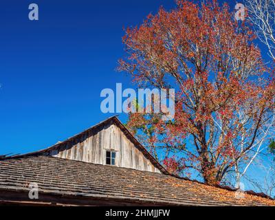 Beautiful log cabin along the Texas Native Trail at Texas Stock Photo ...