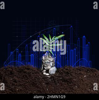 can of coins on the ground and a growing graph of indicators ...