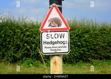 Hedgehog crossing - a road warning sign for crossing hedgehogs in ...