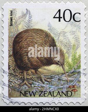 Kiwi, are flightless birds endemic to New Zealand of the genus Apteryx ...