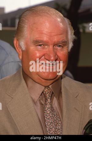 Robert Prosky Circa 1980's Credit: Ralph Dominguez/MediaPunch Stock ...