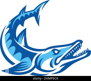 Illustration of Aggressive Barracuda Fish Stock Vector Image & Art - Alamy