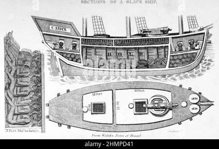 The Walsh cross-section of the slave ship from 1830 is a detailed ...