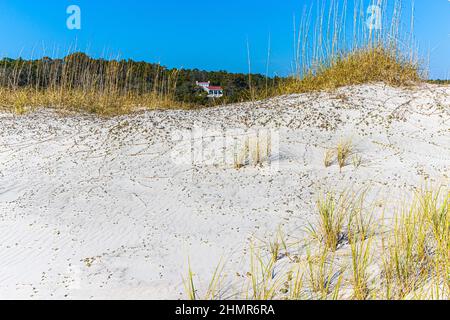 Sand Dunes On Pawley's Island Beach, South Carolina, USA Stock Photo ...