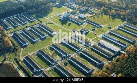 Aerial View Modern chicken farm, barns, Sheds. Bird's-eye View In Sunny ...