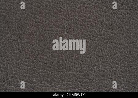 full grain supple leather background texture, high detailed Stock Photo ...