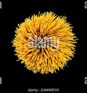Spaghetti pasta twister on black Stock Photo - Alamy