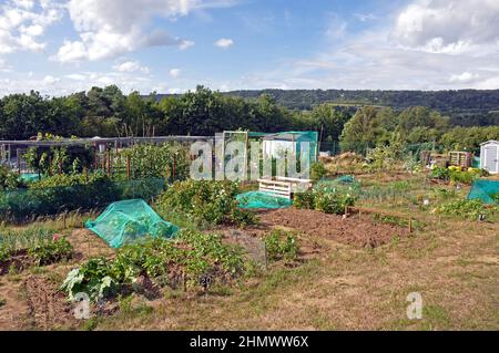 Traditional English Allotment with sheds and plots with trees and view ...