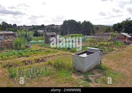 Traditional English Allotment with sheds and plots with trees and view ...