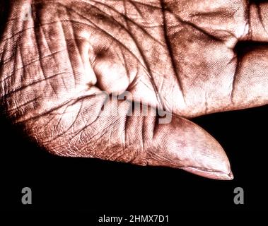 Macro photograph of Afro Caribbean palm clearly showing the lines Stock ...