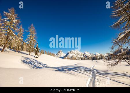 Carnic alps after a big snowfall. Udine province, Friuli-Venezia Giulia ...