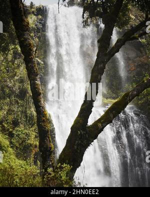 Waterfall in Mau Forest in the Rift Valley of Kenya Stock Photo - Alamy