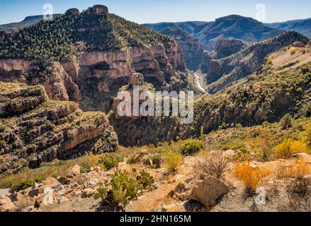 Landscape view from Becker Butte Lookout in Arizona along Route 60 ...