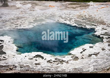 Artemisia Geyser, showing wide platform of geyserite, Cascade Group ...