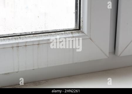 Poor quality windows. Due to poor ventilation, poor-quality ...