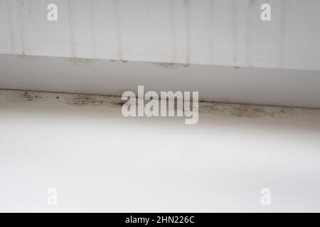 Poor quality windows. Due to poor ventilation, poor-quality ...