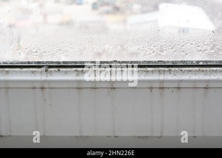 Poor quality windows. Due to poor ventilation, poor-quality ...