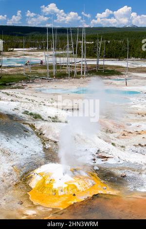 Porcelain basin part of the Norris Geyser Basin at Yellowstone National ...