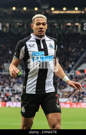 Joelinton #7 of Newcastle United during the warm up for the game Stock ...
