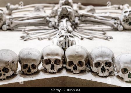 Human body bones set. Skeleton. The grave. Europe. Area of the czech ...