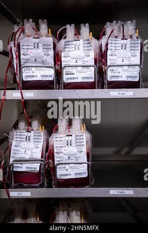 Oldenburg, Germany. 10th Feb, 2021. Basketball: Bundesliga, EWE Baskets ...