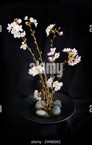 Ikebana - Japanese Art of Flower Arrangement, India Stock Photo - Alamy