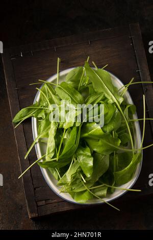 Fresh, spring, sour sorrel for salad, still life in rustic style Stock ...