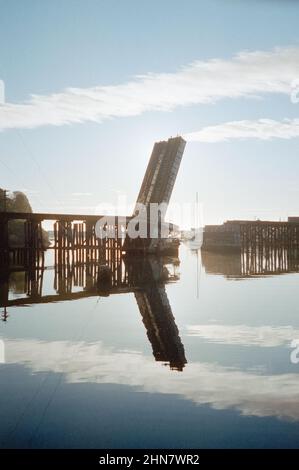 Vertical shot of a lake reflecting the bridge and city buildings on a ...