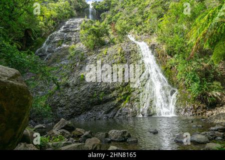 Scenic Waihirere Falls and bush off route 35 around east coast of North ...