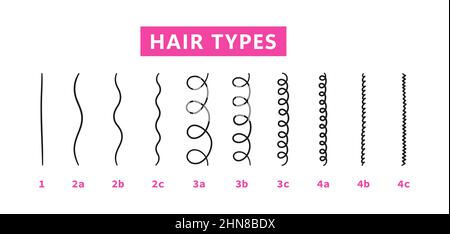 Classification of hair types - straight, wavy, curly, kinky. Scheme of ...