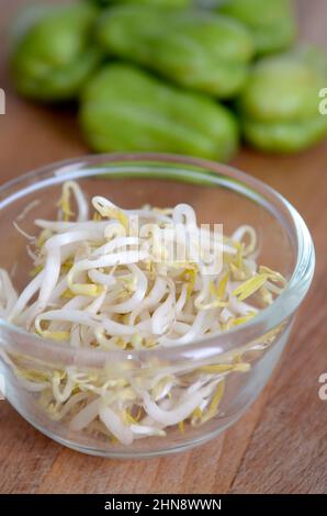 The mung bean sprouts, or toge, asian vegetable Stock Photo - Alamy
