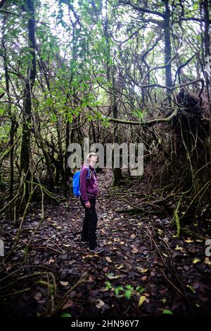 Young adventurous woman exploring Poas Volcano National Park in Costa ...